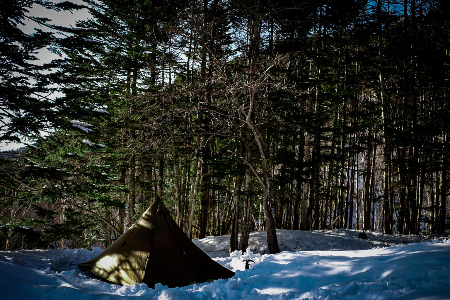 【レビュー】とにかく美しいシェルター LOCUS GEAR Hapi Sill「ローカスギア ハピ」 - NEXT OUTDOOR